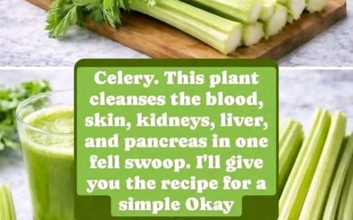 | Recipe